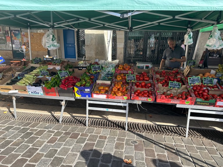 To Market, to Market – So Many Dishes